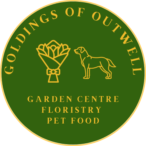 Outwell Logo Outwell | Family Camping Tents And Equipment Ireland
